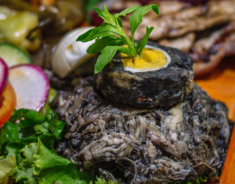 Tortuga en su concha, guisado en la cocina tabasqueña