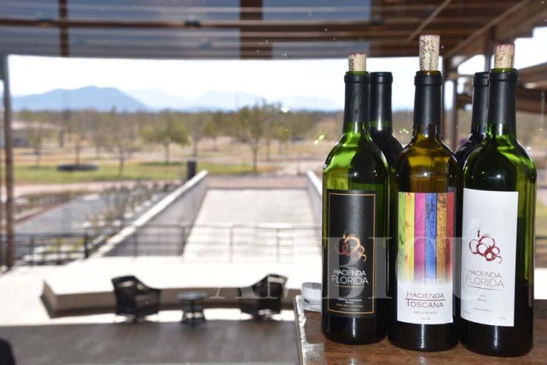 "Jobito" Licor de frutas de la tradición de la Huasteca