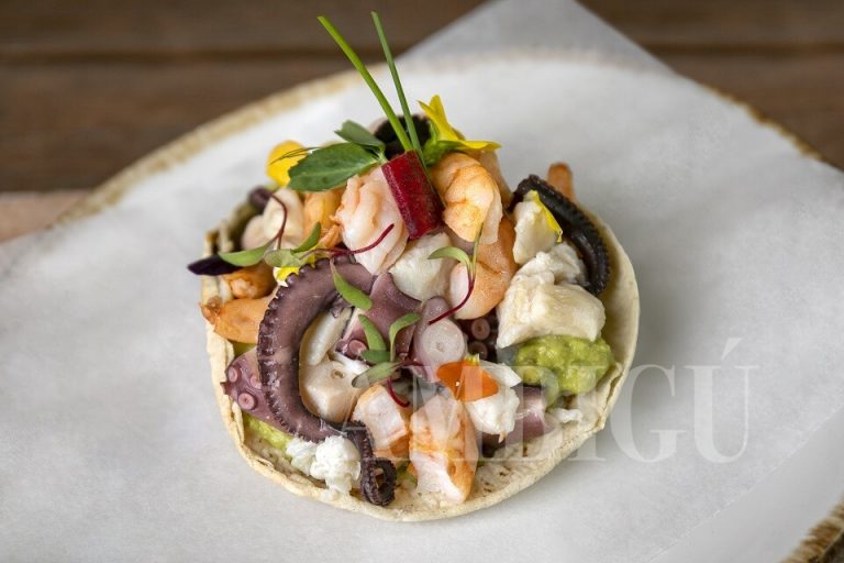 Tortuga en su concha, guisado en la cocina tabasqueña