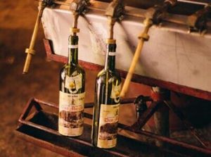 "Jobito" Licor de frutas de la tradición de la Huasteca