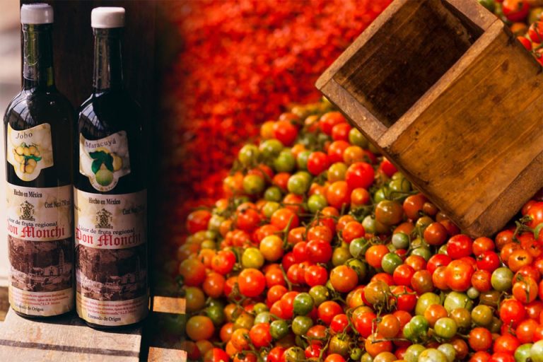 "Jobito" Licor de frutas de la tradición de la Huasteca