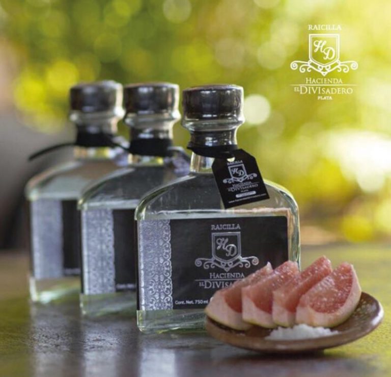"Jobito" Licor de frutas de la tradición de la Huasteca