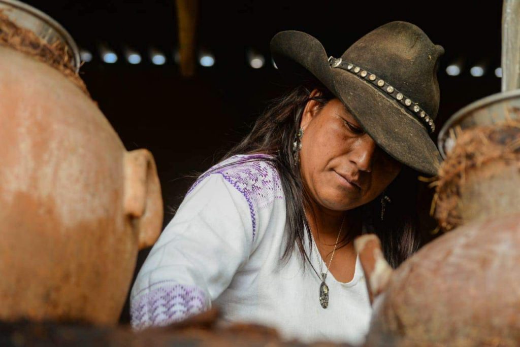 "Jobito" Licor de frutas de la tradición de la Huasteca