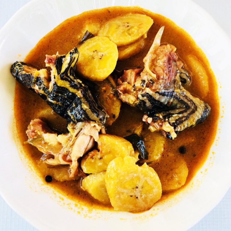 Tortuga en su concha, guisado en la cocina tabasqueña