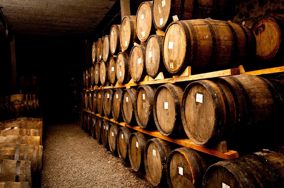 Vinos Mexicanos en Auge: Descubriendo las Nuevas Bodegas de México ...