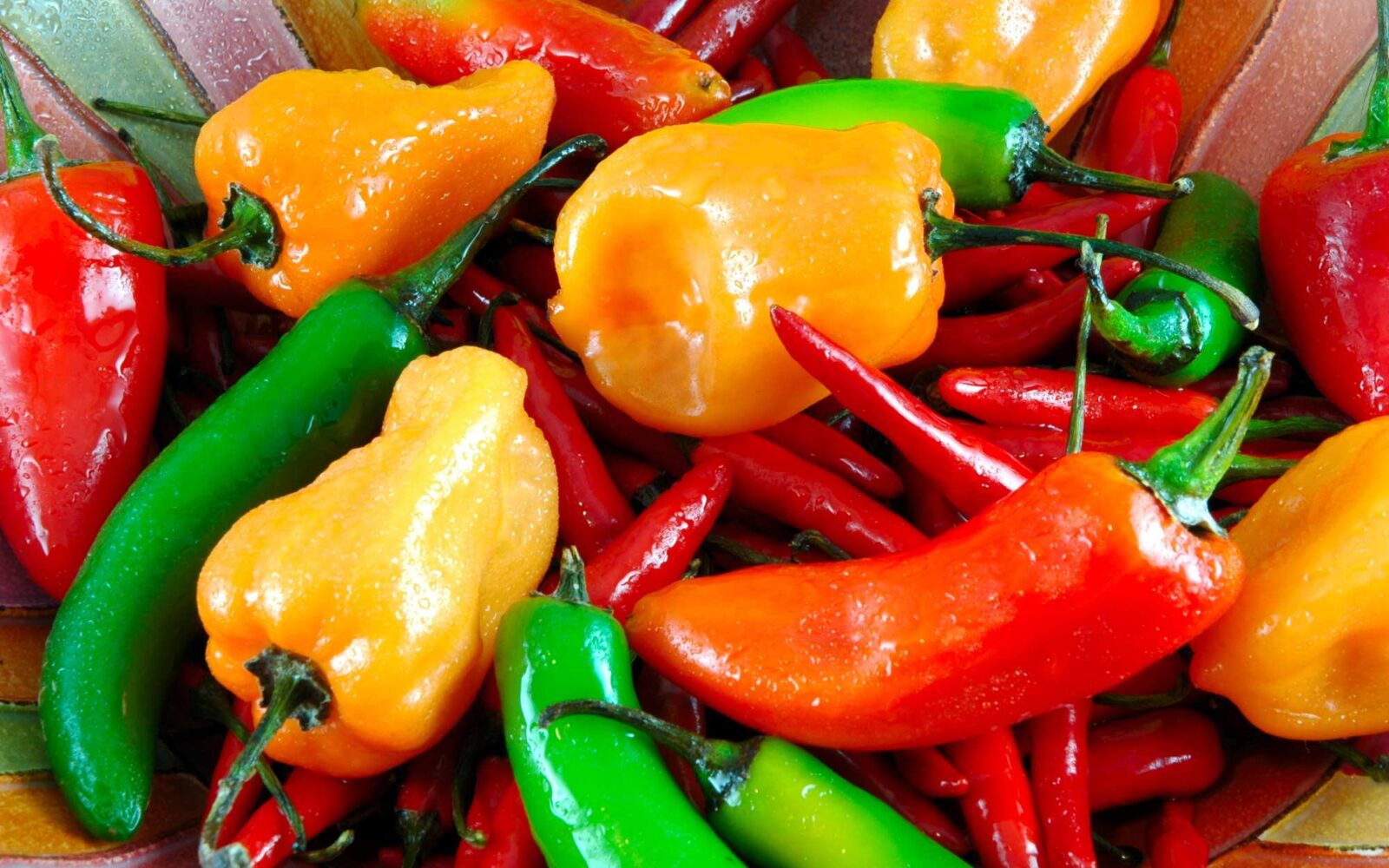 Tipos de Chiles: Variedades y Usos en la Cocina - Revista Ambigu