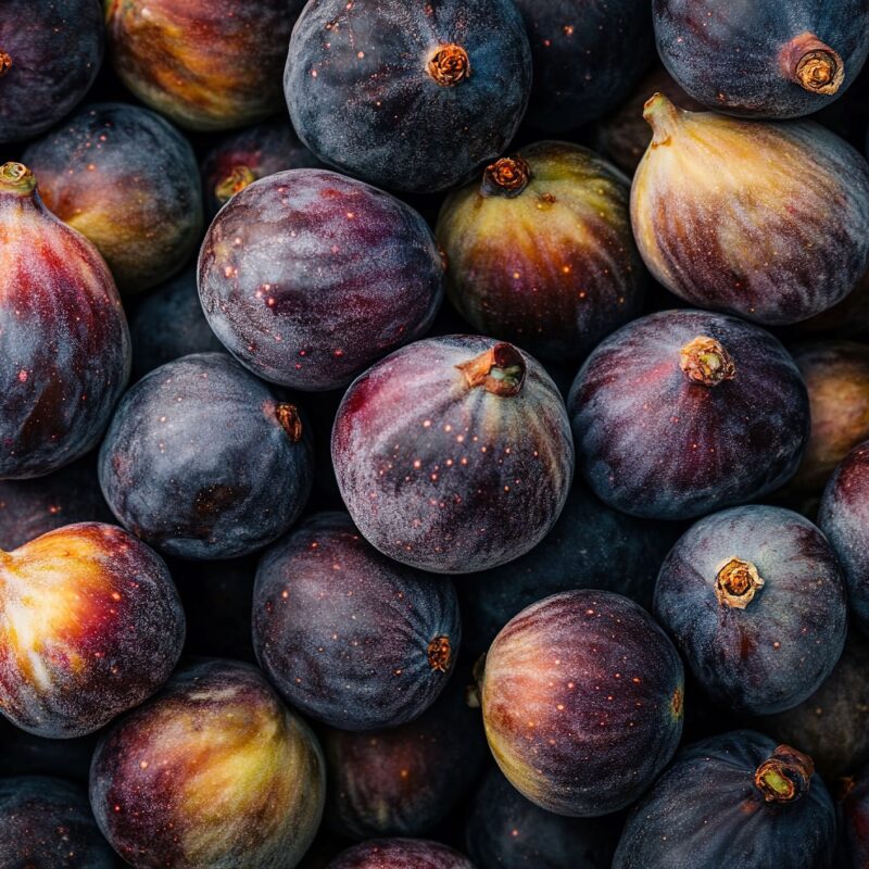 "Jobito" Licor de frutas de la tradición de la Huasteca