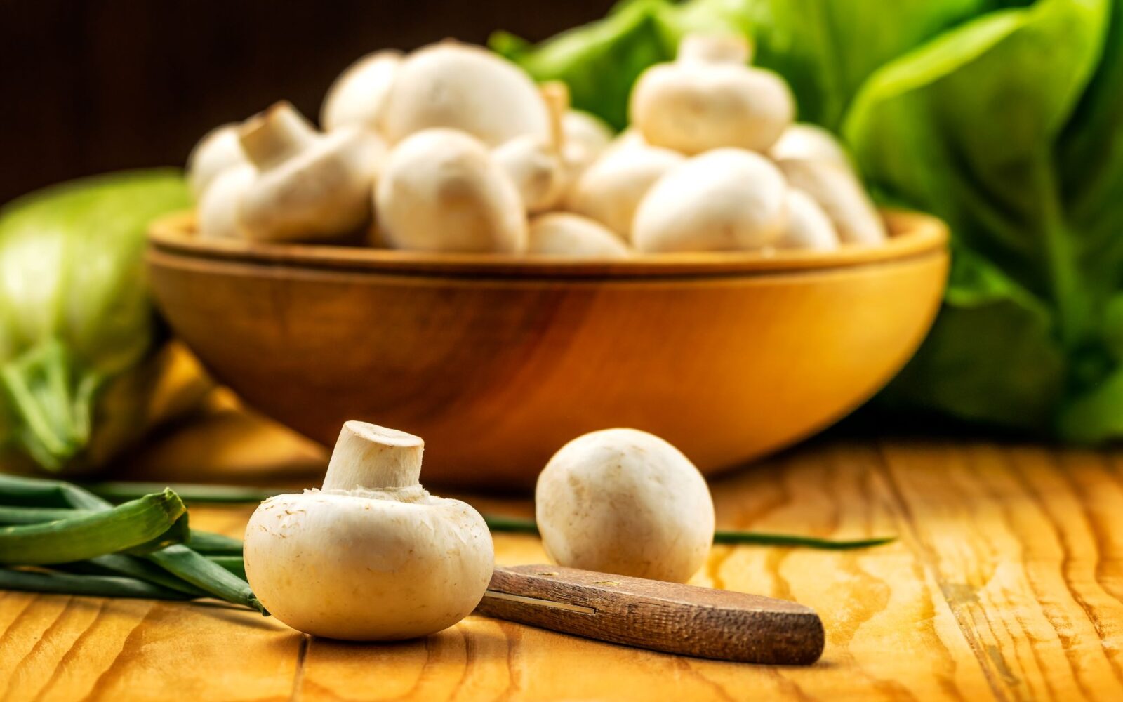 Hongos en la Cocina: Texturas, Sabores y el Arte de Reinventar ...