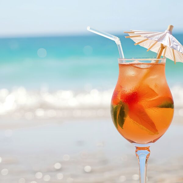 "Jobito" Licor de frutas de la tradición de la Huasteca